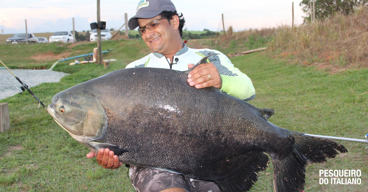 Conheça o Pesqueiro do Italiano | Mapa da Pesca